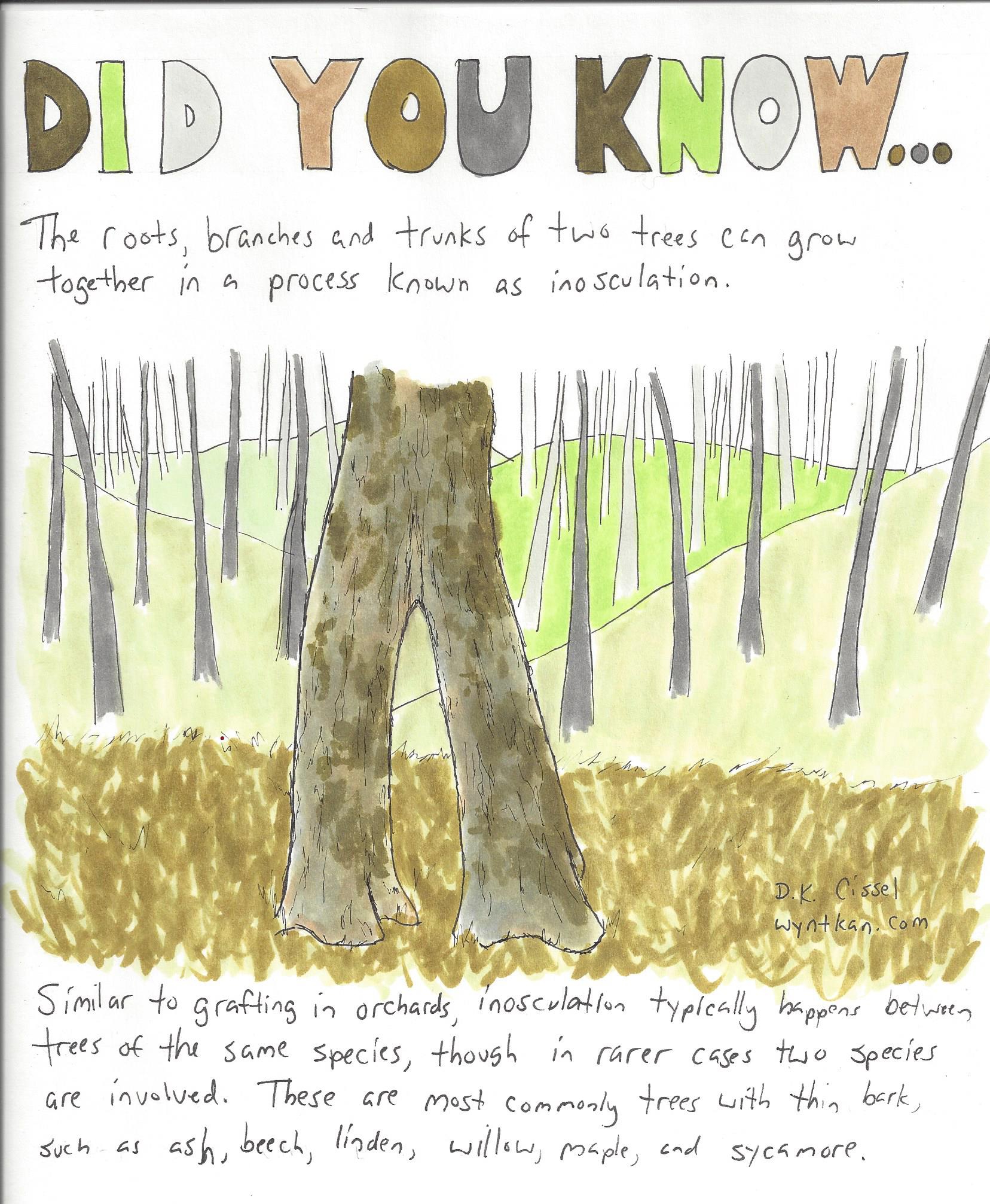 Did You Know About Inosculation?